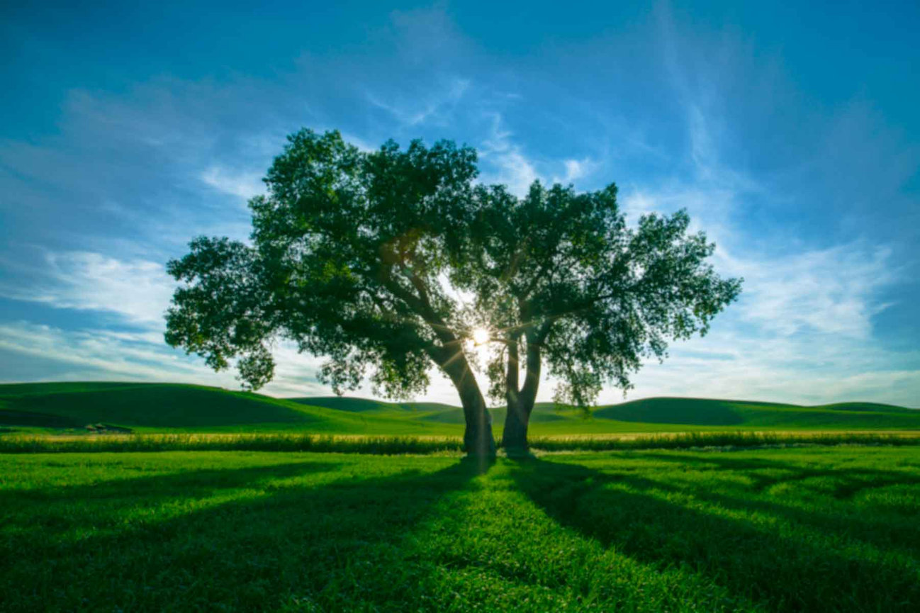 DAY 2 - LEARN TO FOCUS - Rob Strain Fine Art Photography & Workshops