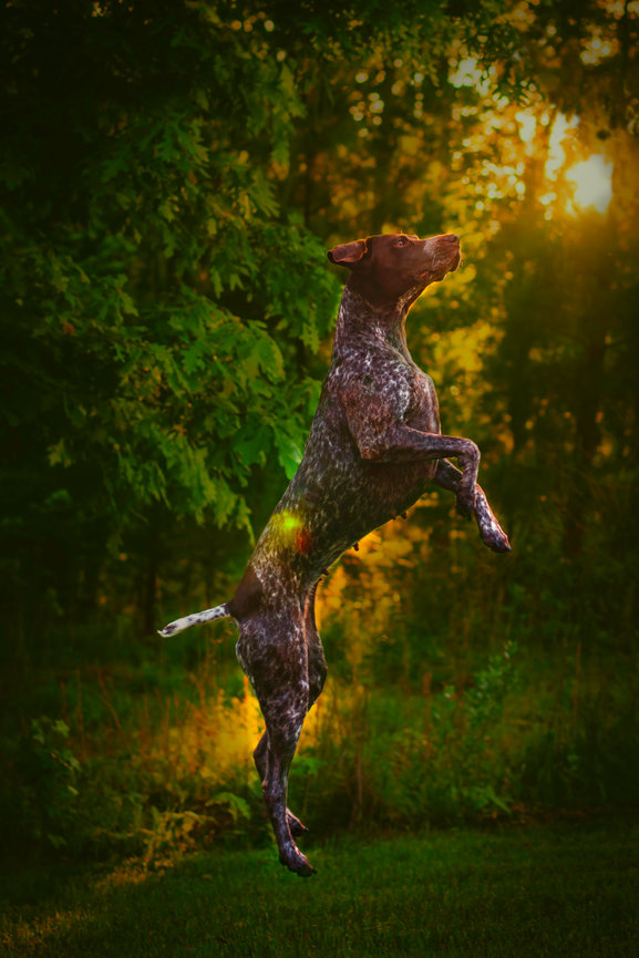 Portfolio | Ryan Ritter Photography