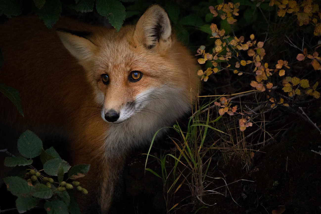 WHAT IS YOUR SUBJECT? - Rob Strain Fine Art Photography & Workshops