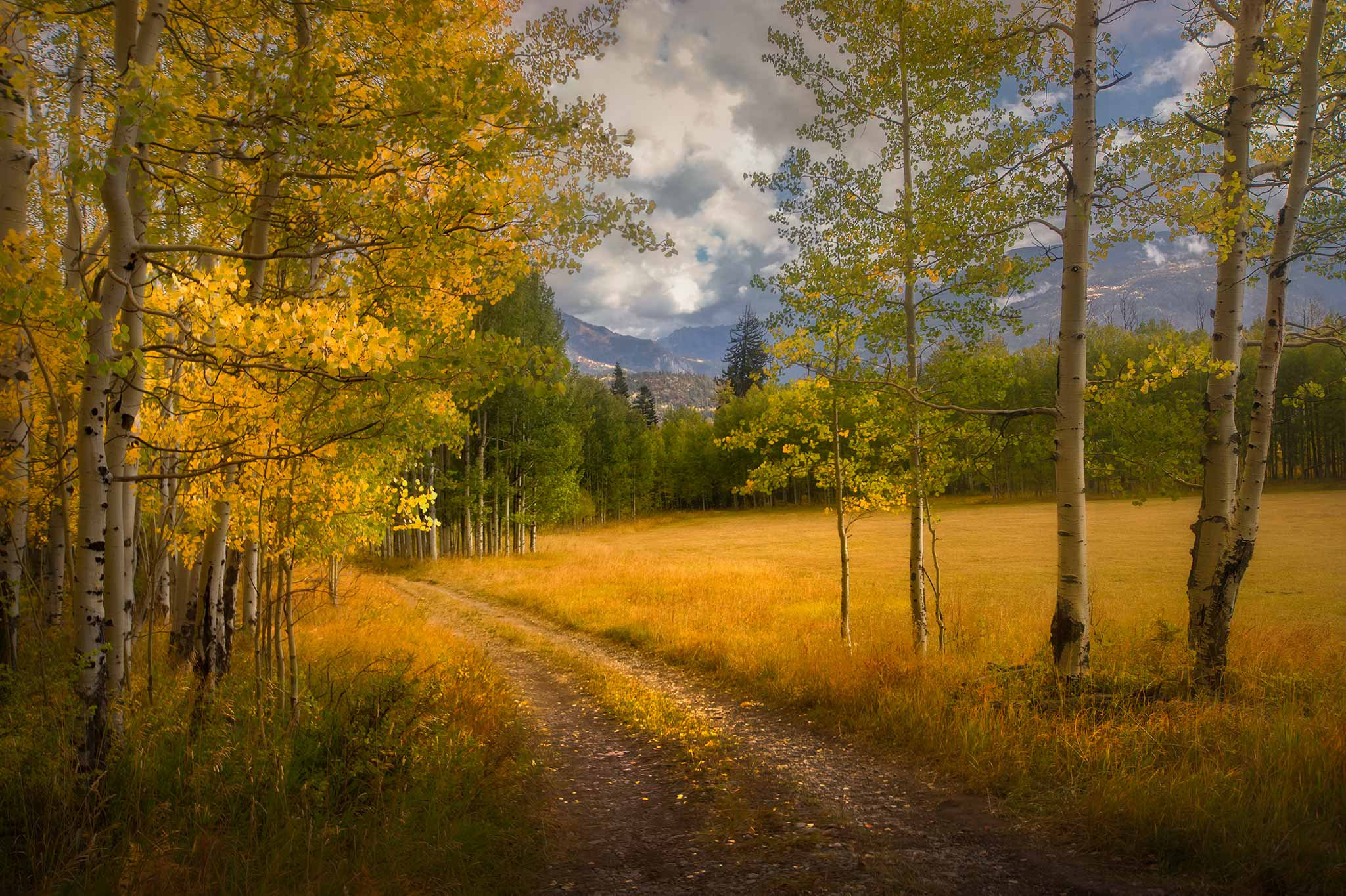 Sunday Drive - Rob Strain