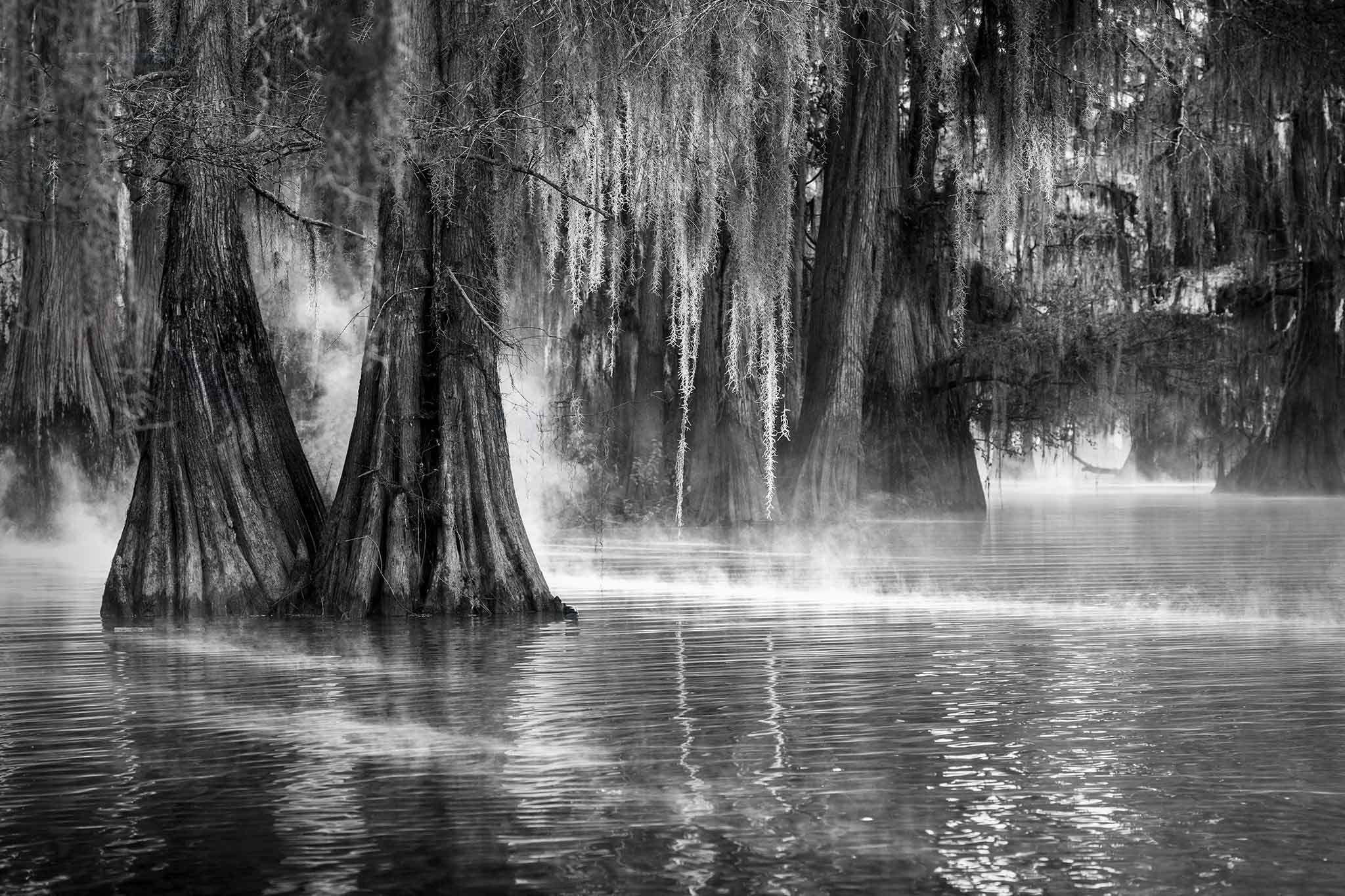 CADDO LAKE PHOTO WORKSHOP DETAILS - Rob Strain Fine Art Photography ...