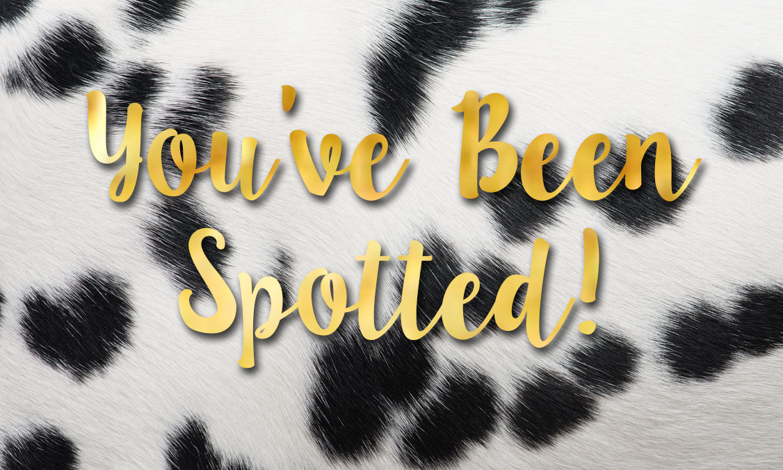 You've Been Spotted! Exclusive Dog Model Sessions with The PAWtographers
