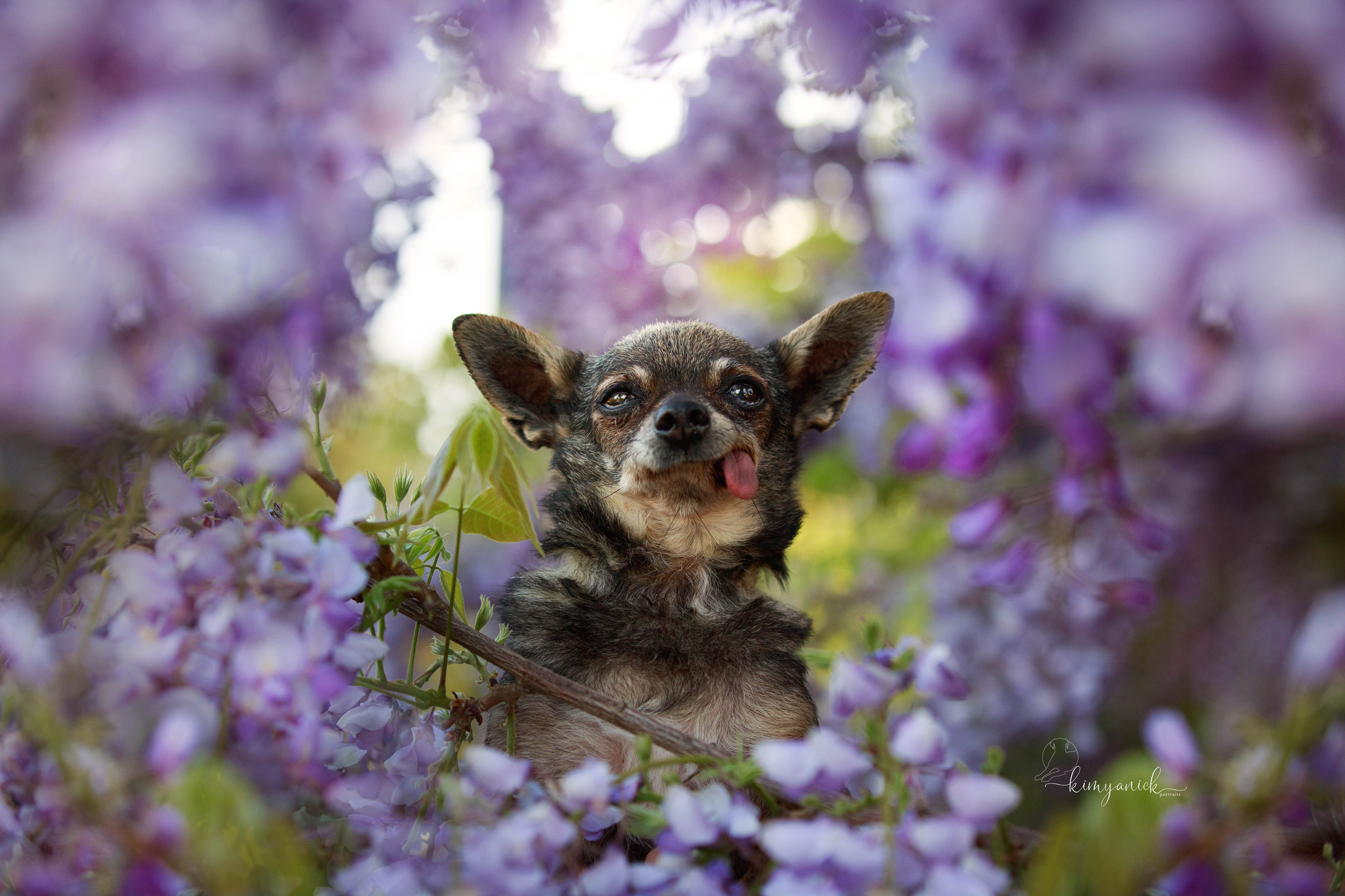 Kim Yanick Portraits