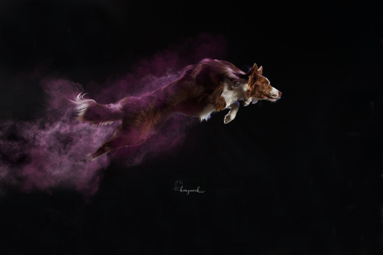 blog - Kim Yanick Portraits