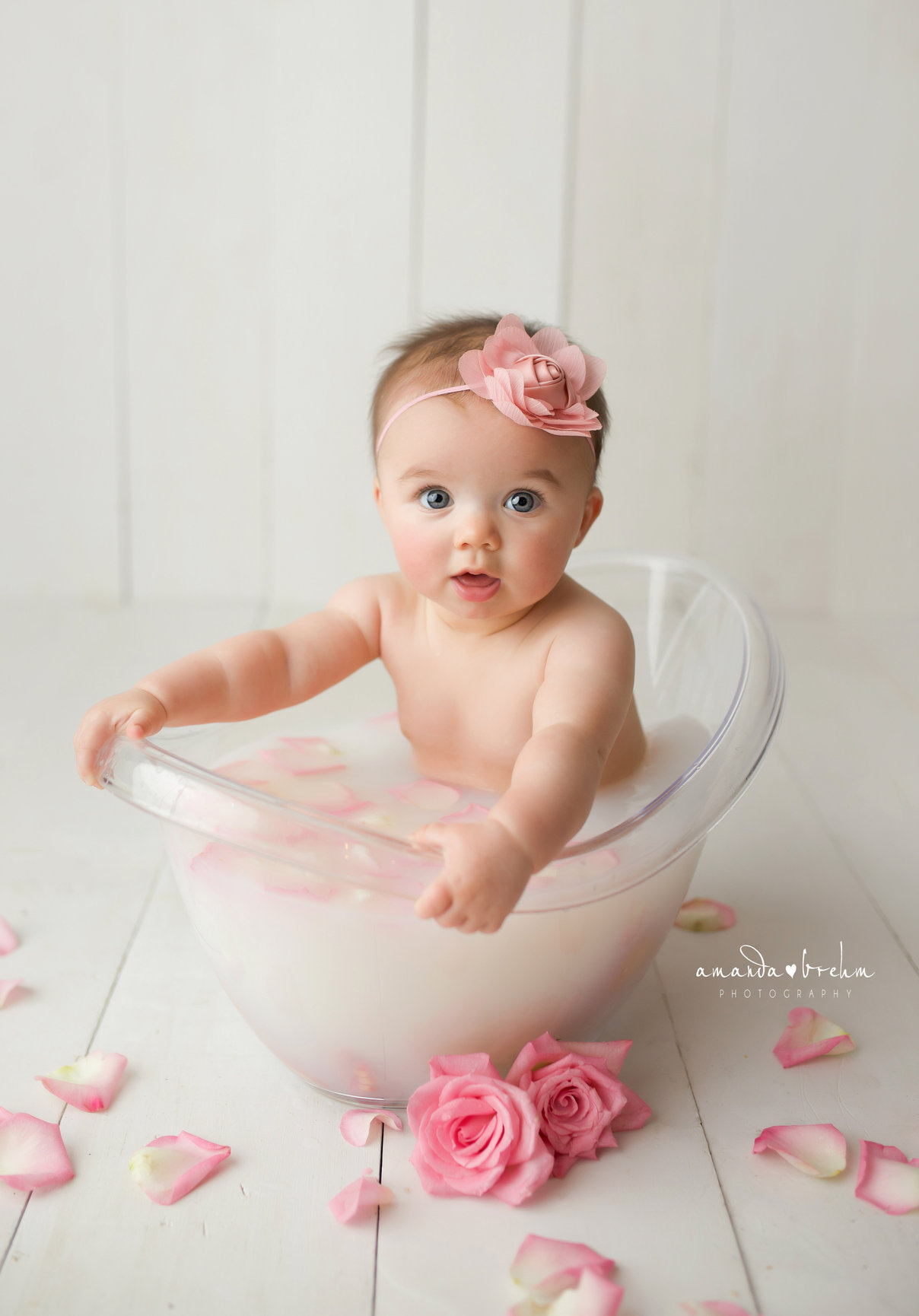 home - Amanda Brehm Photography