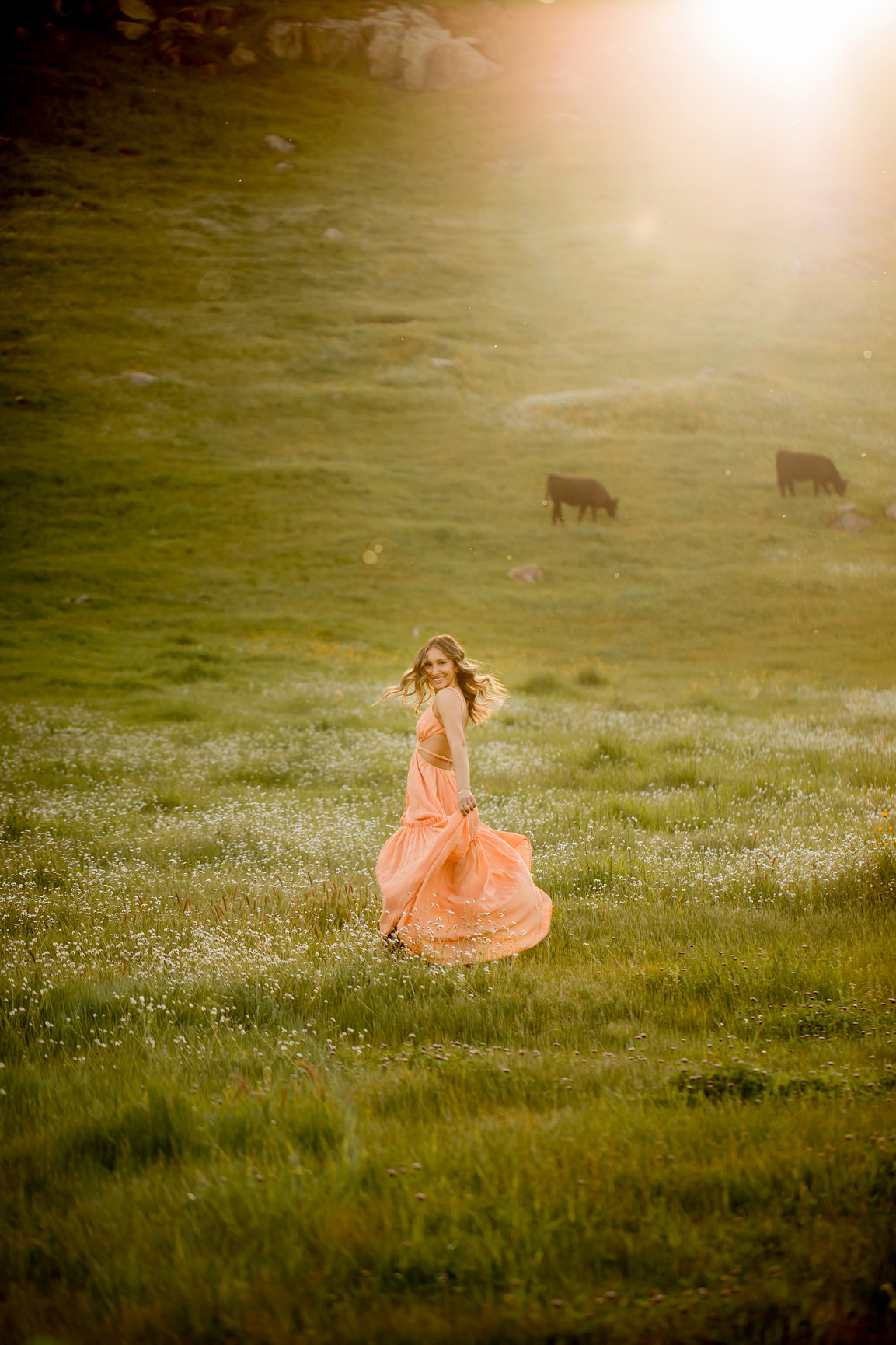 Home - Janette Smith Photography