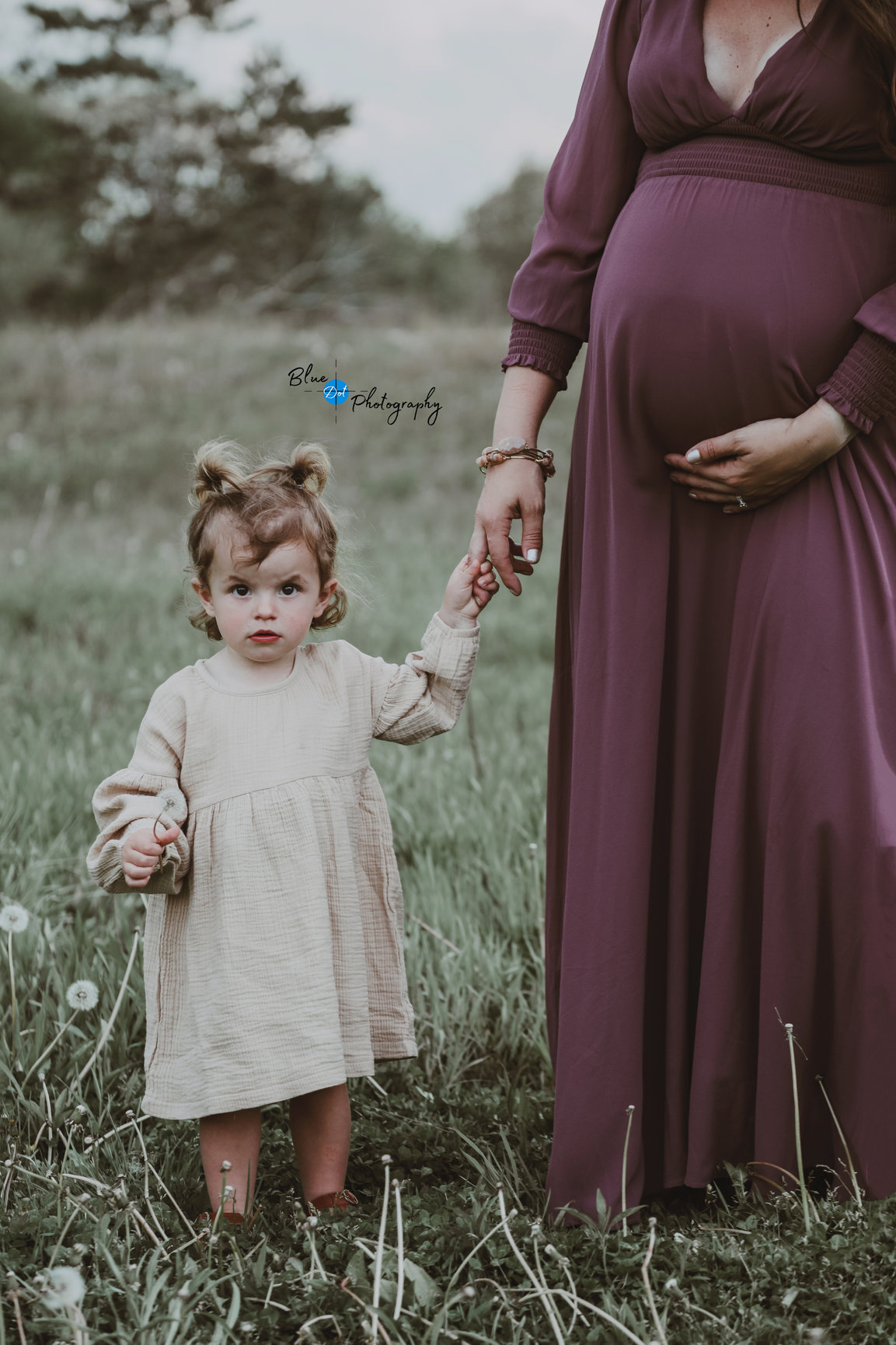 Sneak peek of Hoppe Family Maternity Portraits! - Blue Dot Photography