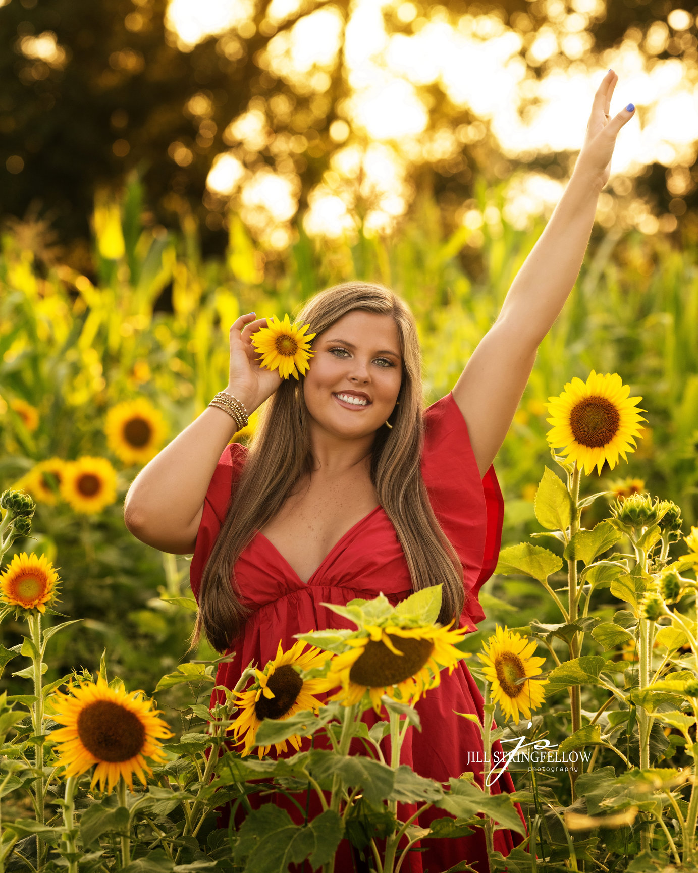 HOME - Jill Stringfellow