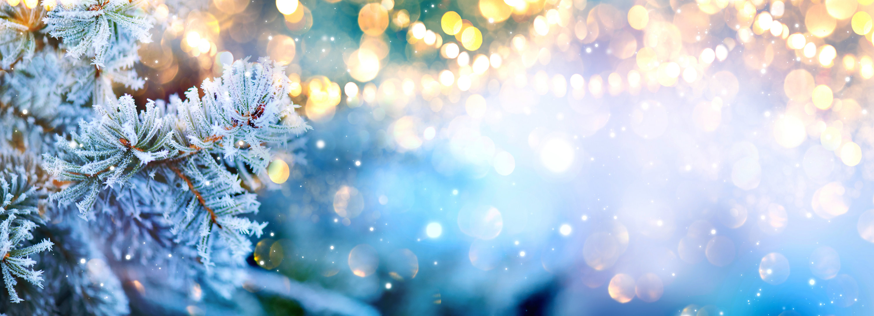 Christmas in October? - Heike C. O'Day Photography