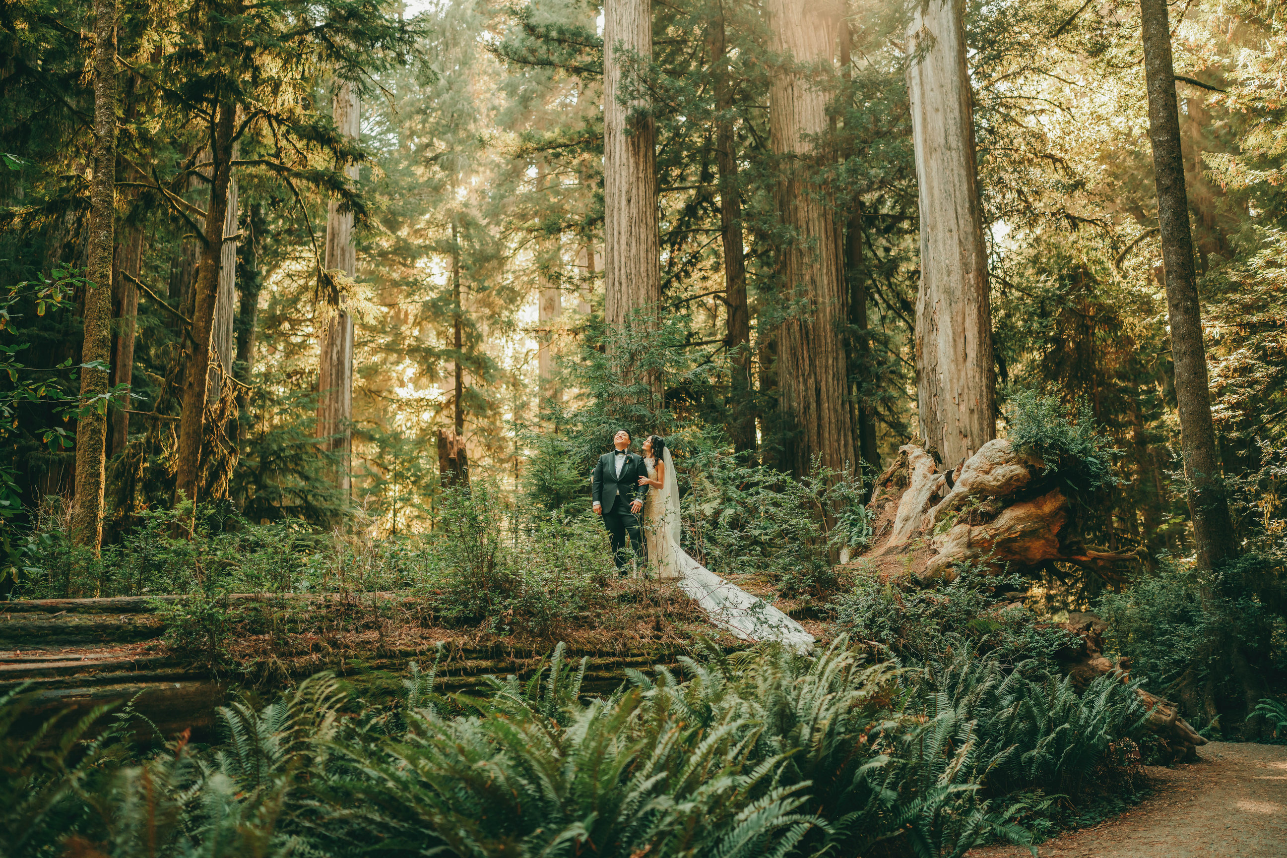 Permit Process for your elopement in the Jedediah Smith Redwoods ...