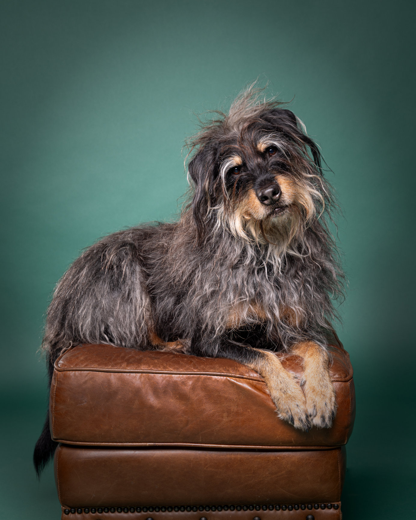 Home - Angela Hopper Photography