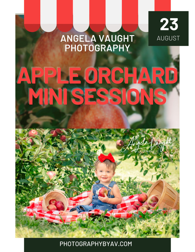 Apple Orchard Mini Session - Photography by Angela Vaught