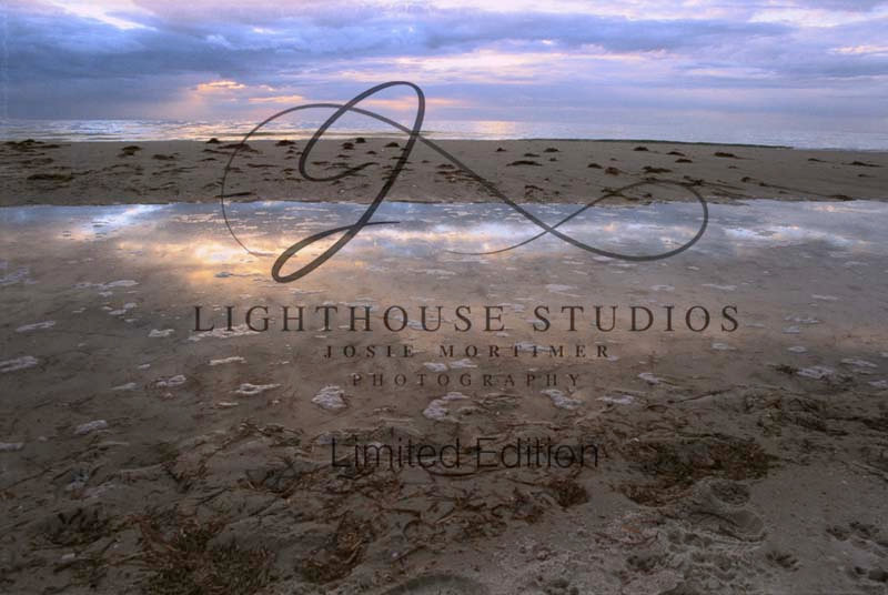 LIMITED EDITION - Lighthouse Studio - Adelaide Photographer
