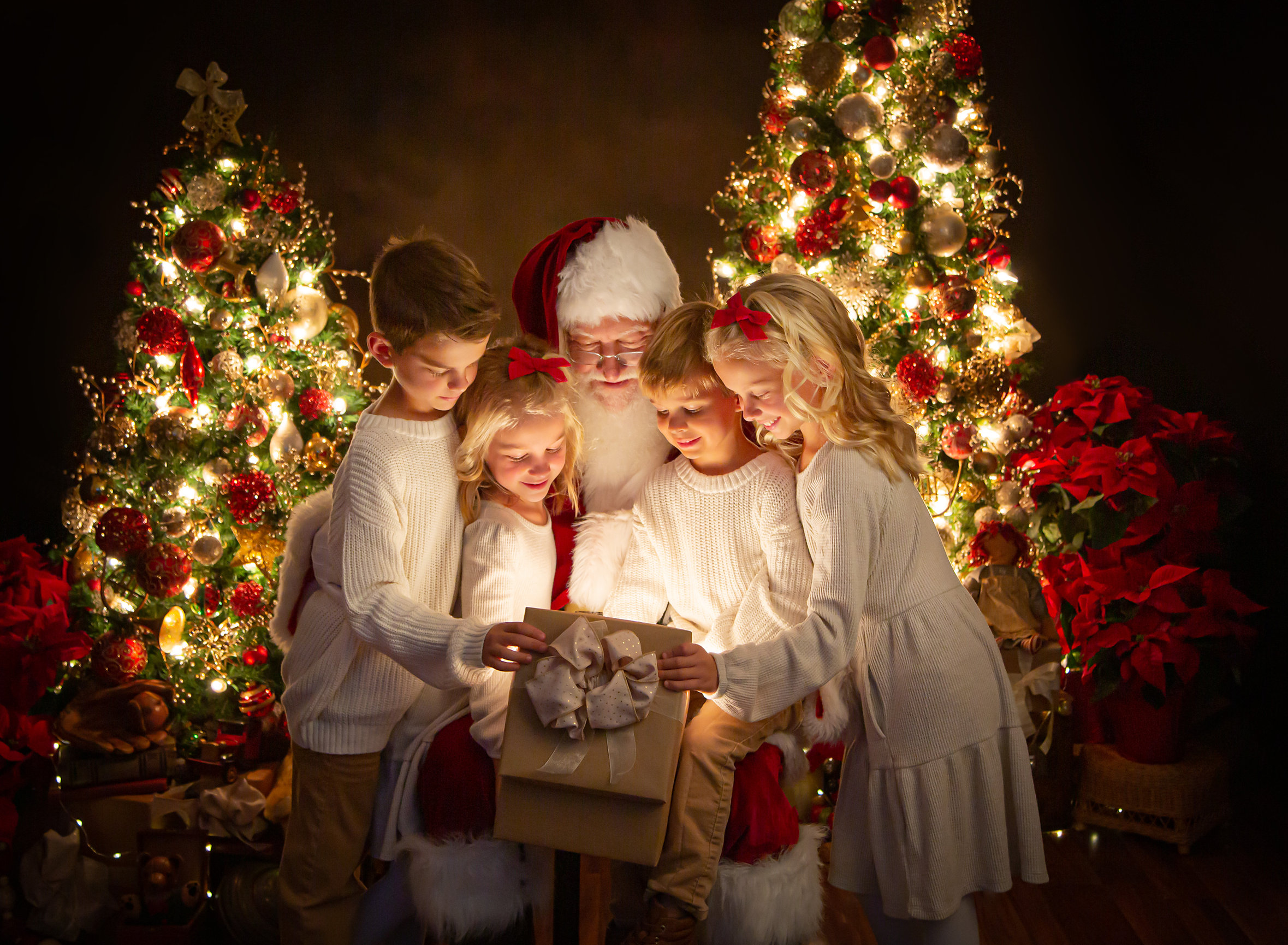 DEAR SANTA 2023 - THE DETAILS - Dana Ashlyn Photography