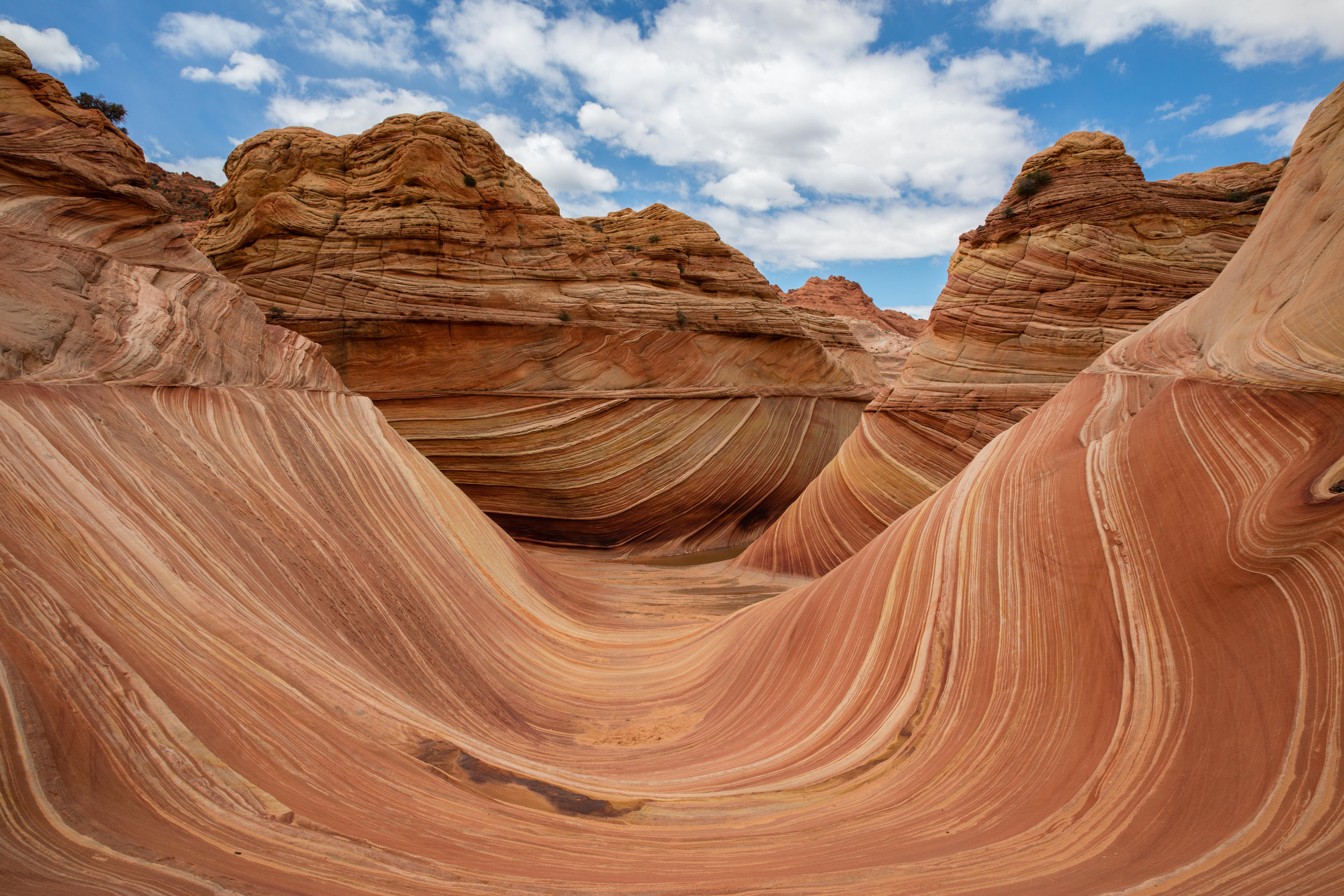 Exploring the Vermillion Cliffs and Photographing the Wave - Jim Babson ...