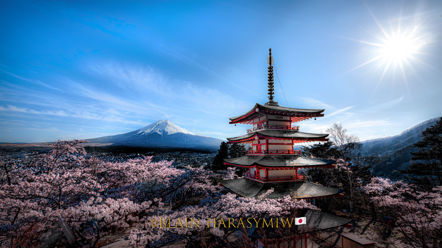 Tokyo Sakura - Japan Cherry Blossom Photography Tour - Blain Harasymiw ...