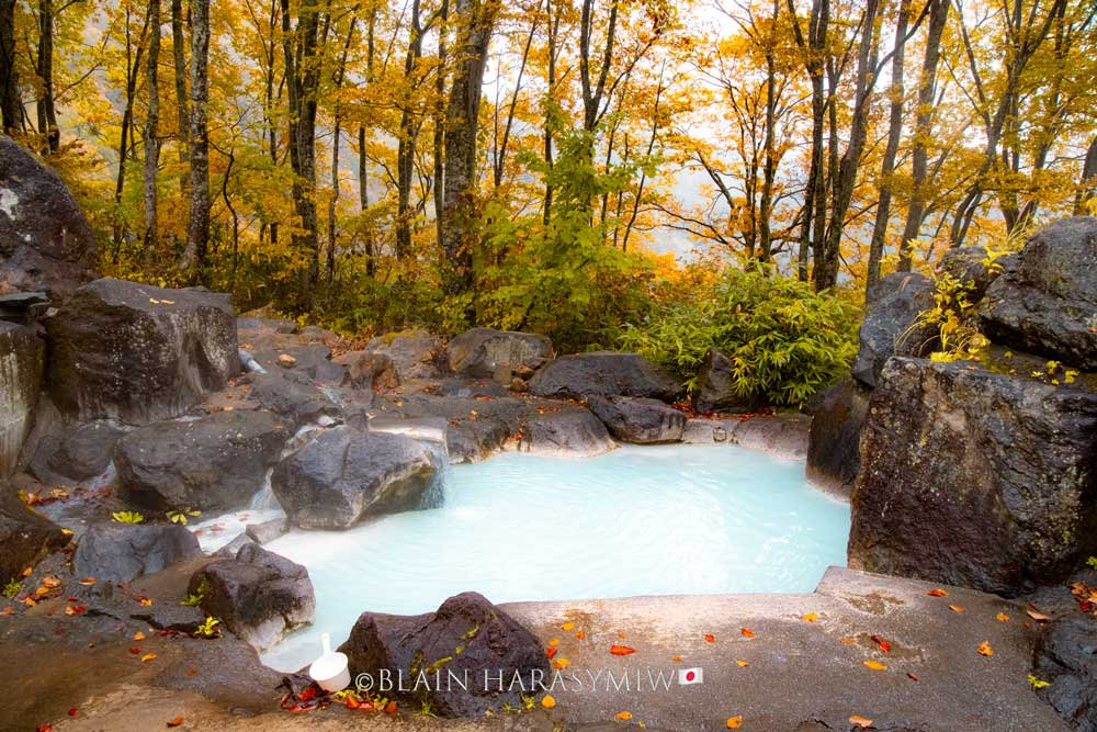 Autumn Colors Japan Tour - Blain Harasymiw Photography