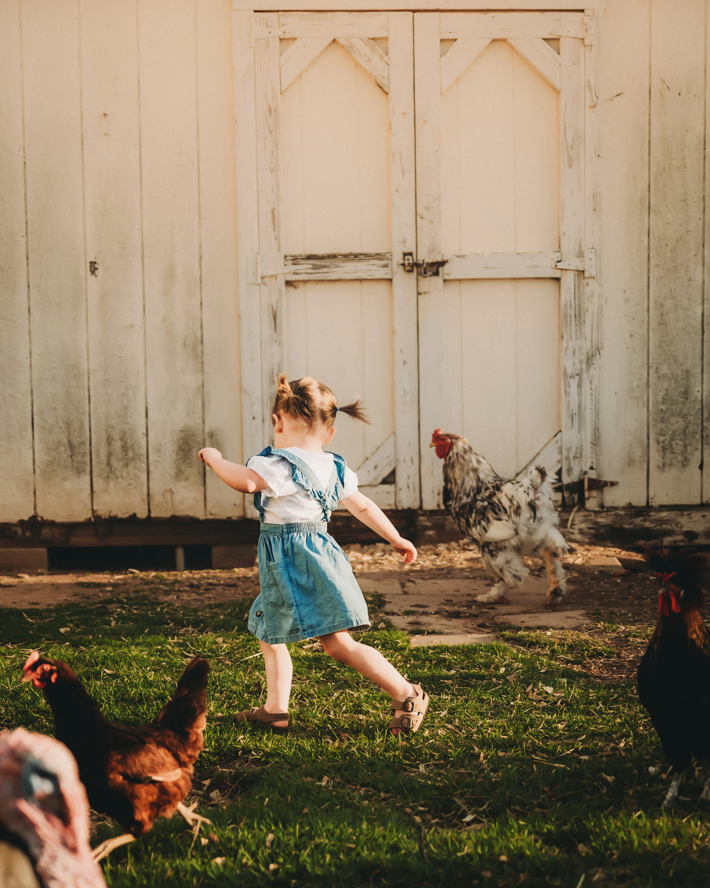 Audrey Bolt: Cake Smashes, Family Fun, and Reaching Clients With ...