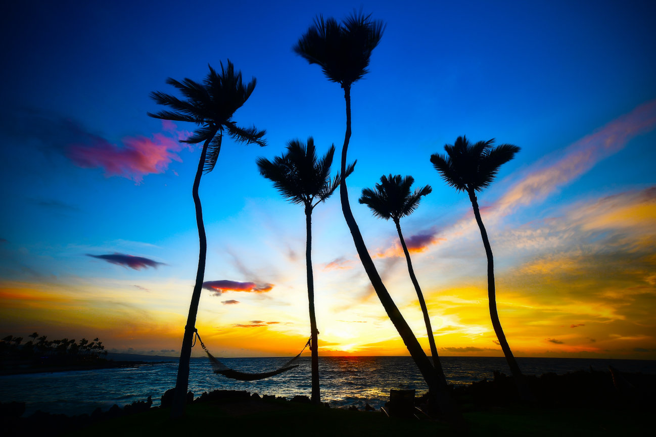 HOME - Joseph Stevens photography