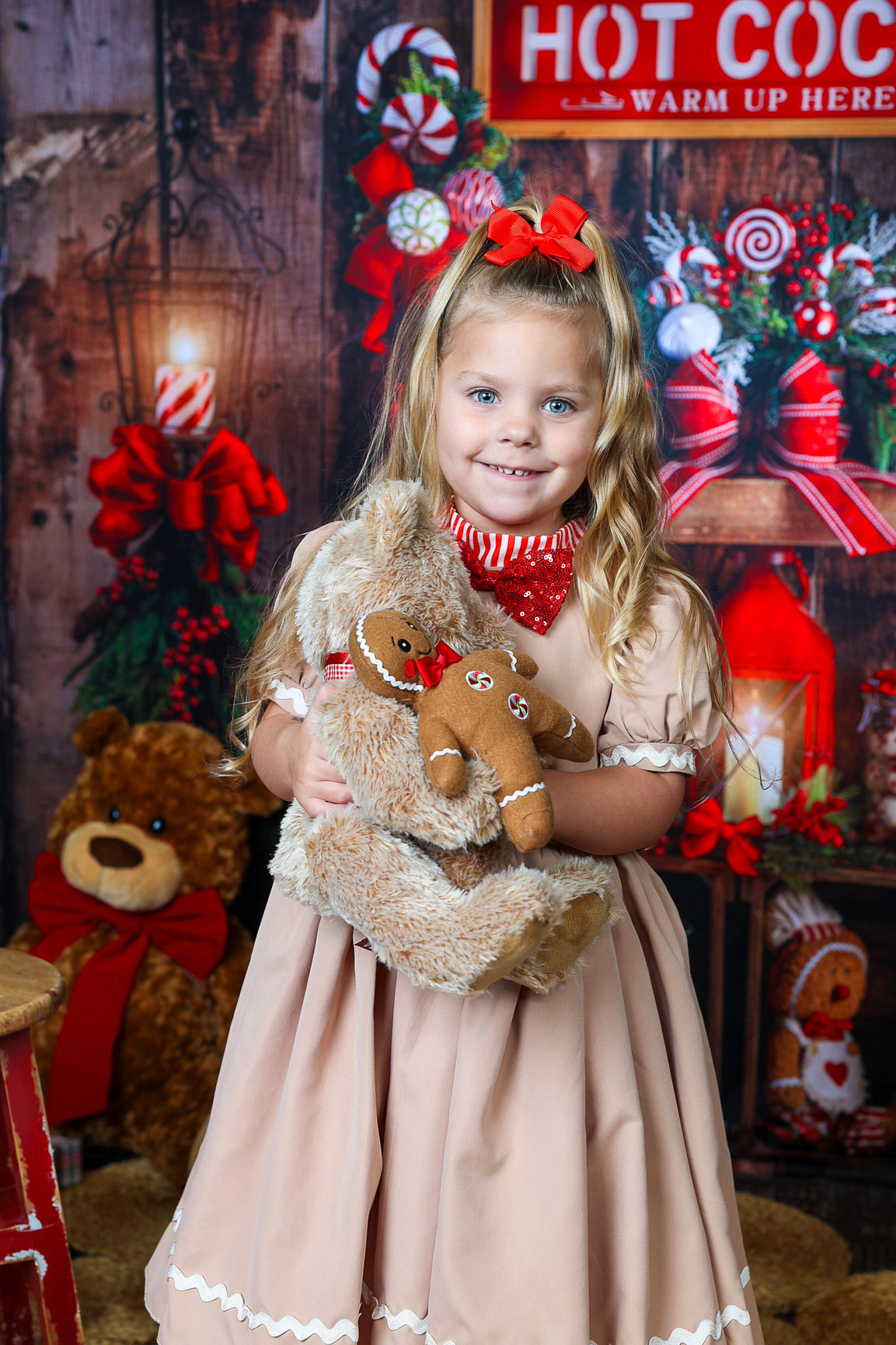 Christmas Portraits - Doves Portrait Design