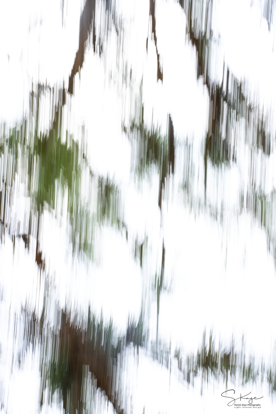 HOME - Steven Kaye Photography