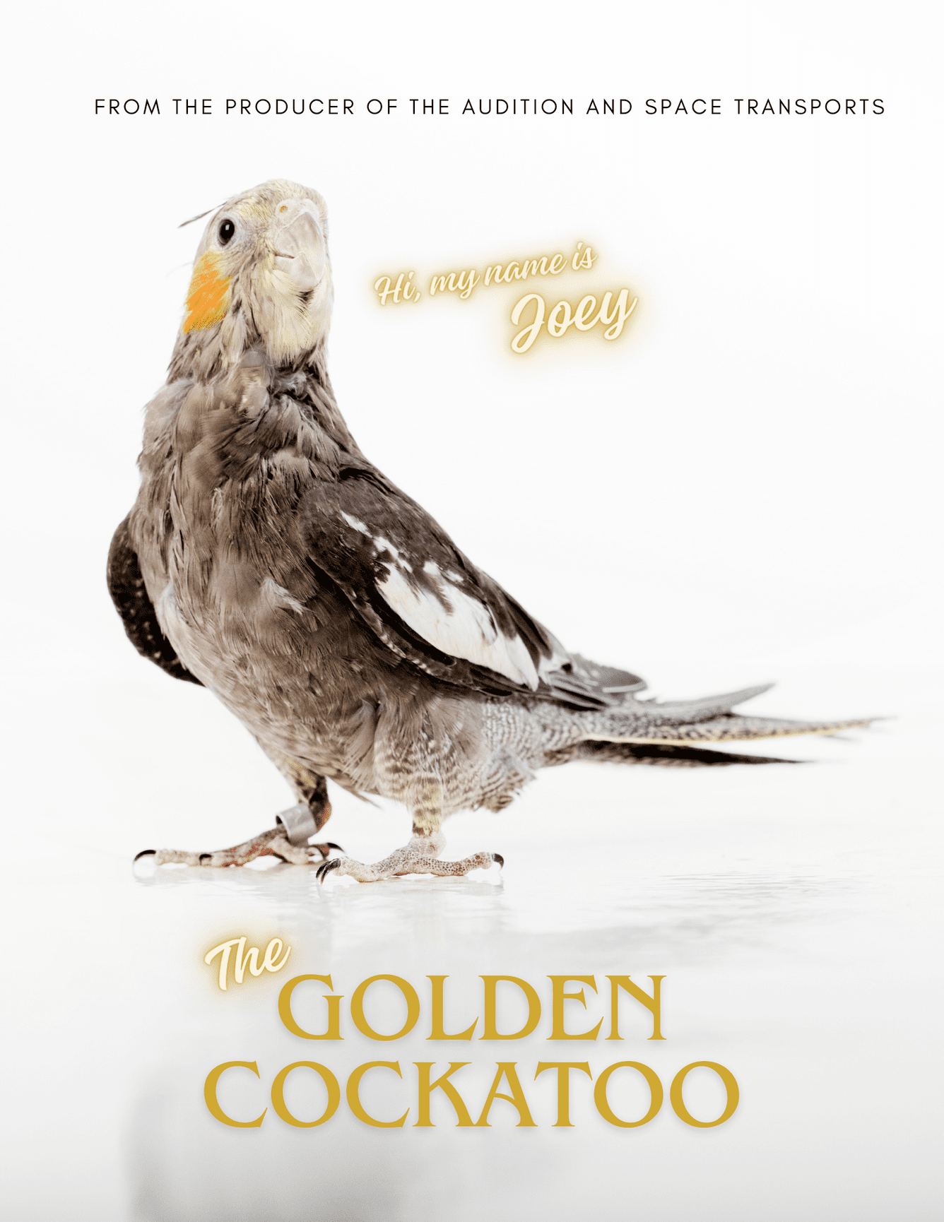 Award Winning Actor Demo Reels