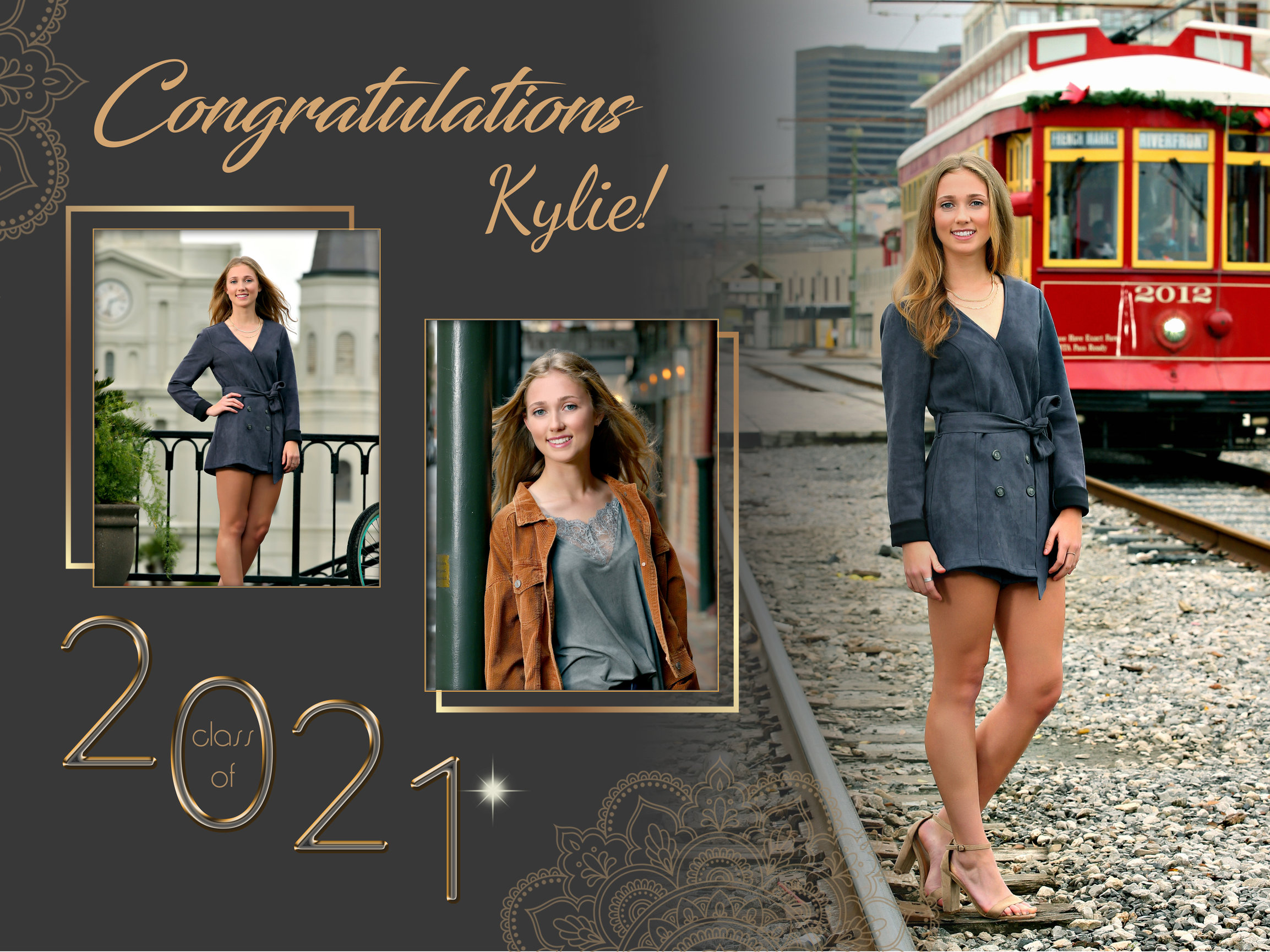 Gold Plated Grad- Yard Sign - Bert Burr's Photography