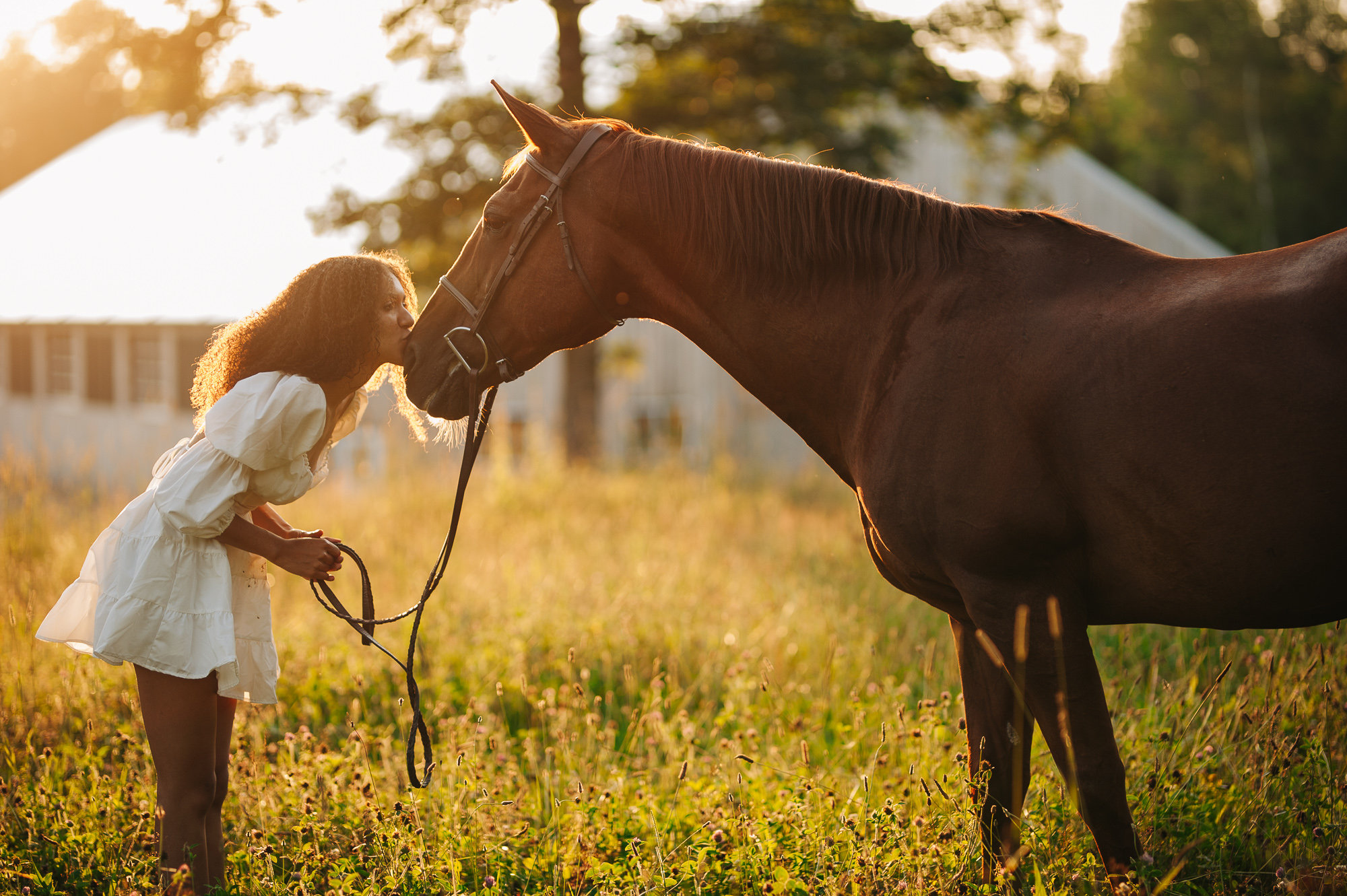 Lucia's Senior Photos at Dog Day Farm Pownal
