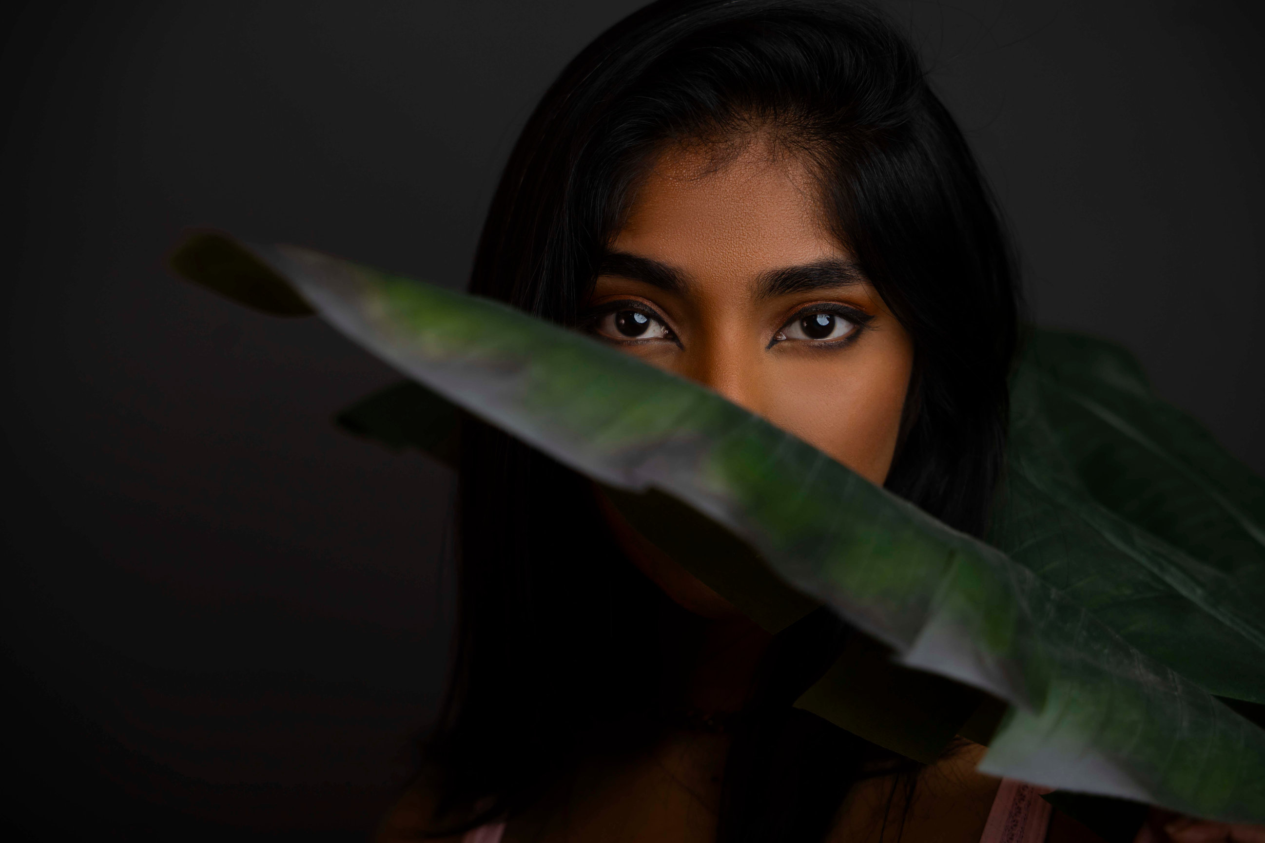 Home - Feridon Terry Photography