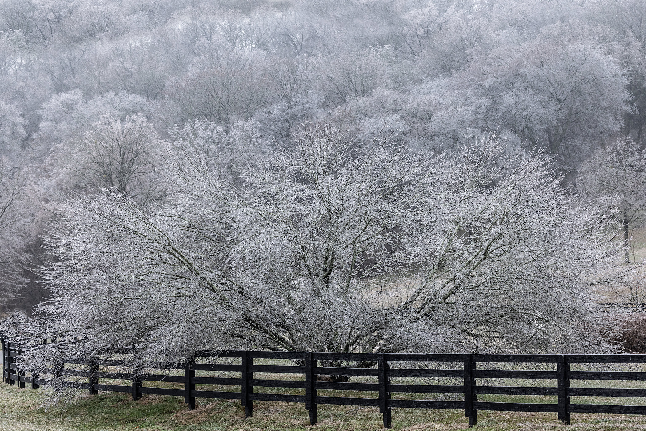 Ice storm - Jim Zuckerman photography & photo tours