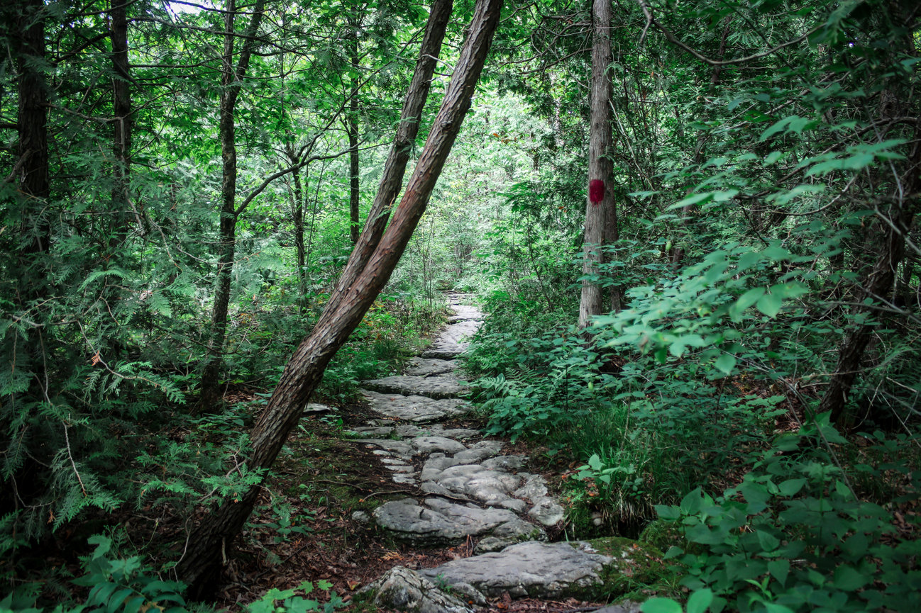Clark Reservation State Park, NY - Chris G Photography