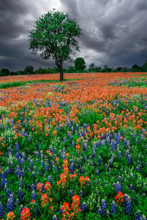 Jim's Blog | Jim Zuckerman Photography & Photo Tours