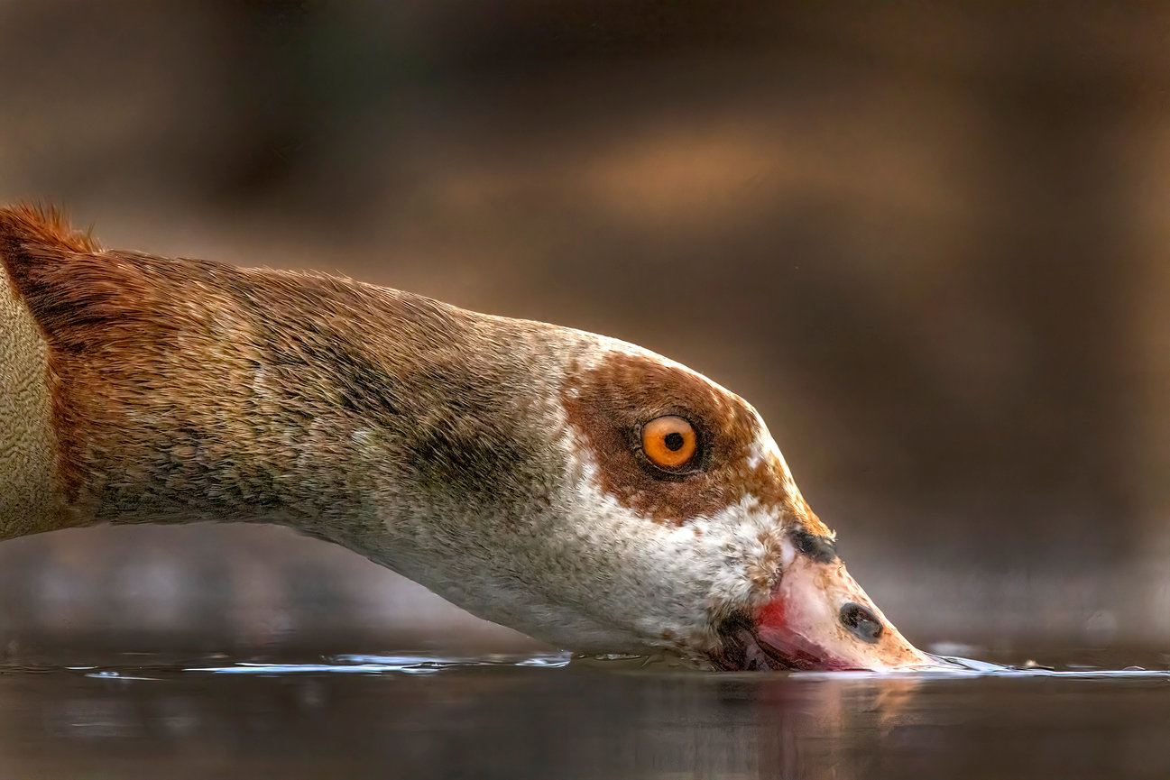 Jim's Blog | Jim Zuckerman Photography & Photo Tours