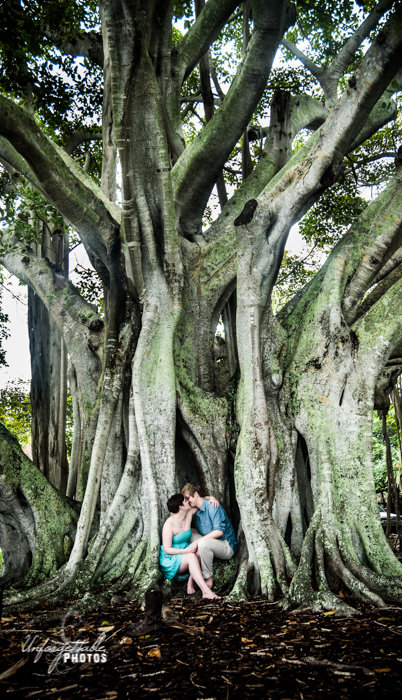 Wedding and Engagement Gallery - Unforgettable Photos