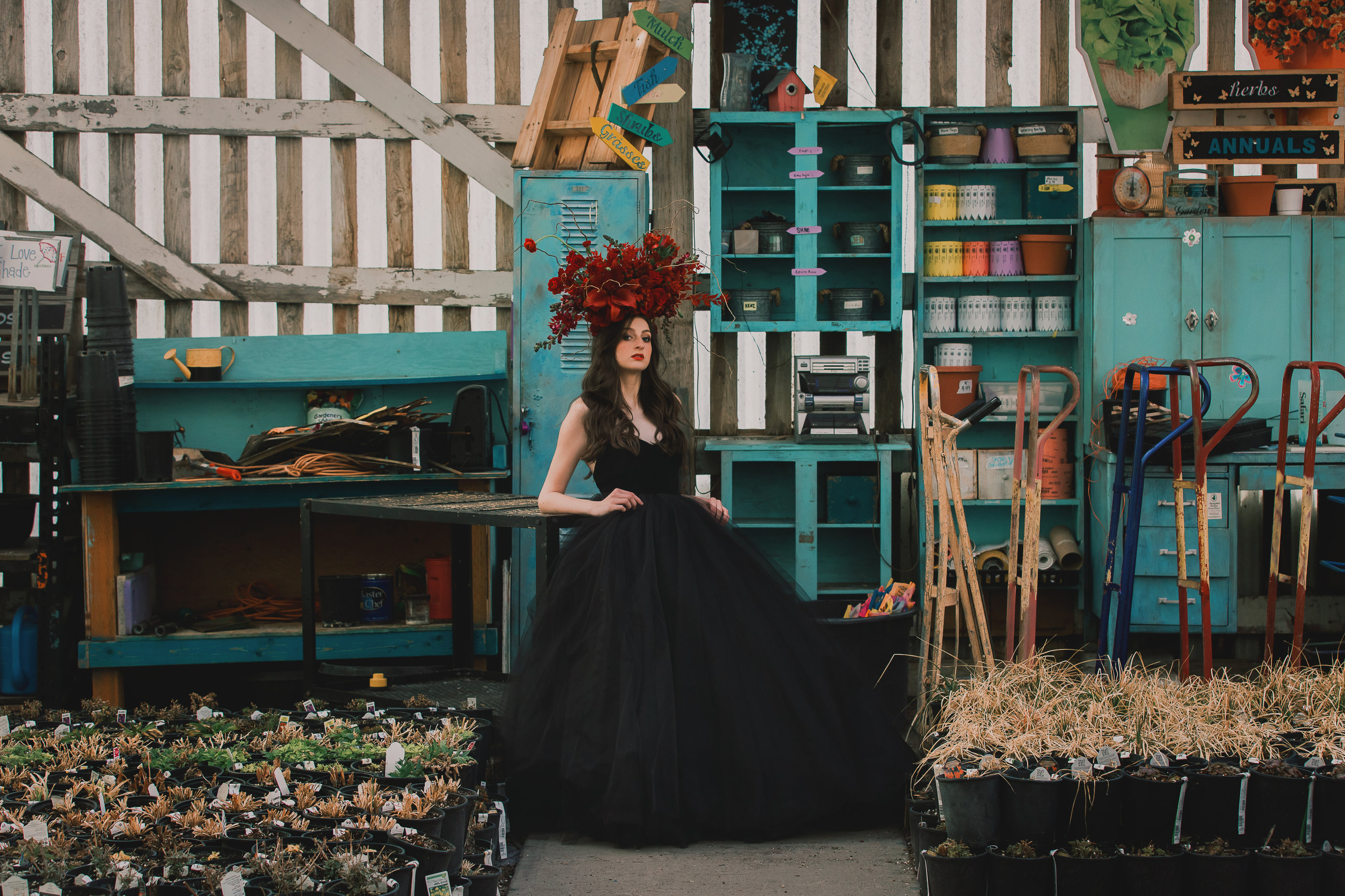 GALLERY - Kerry Horrocks Photography