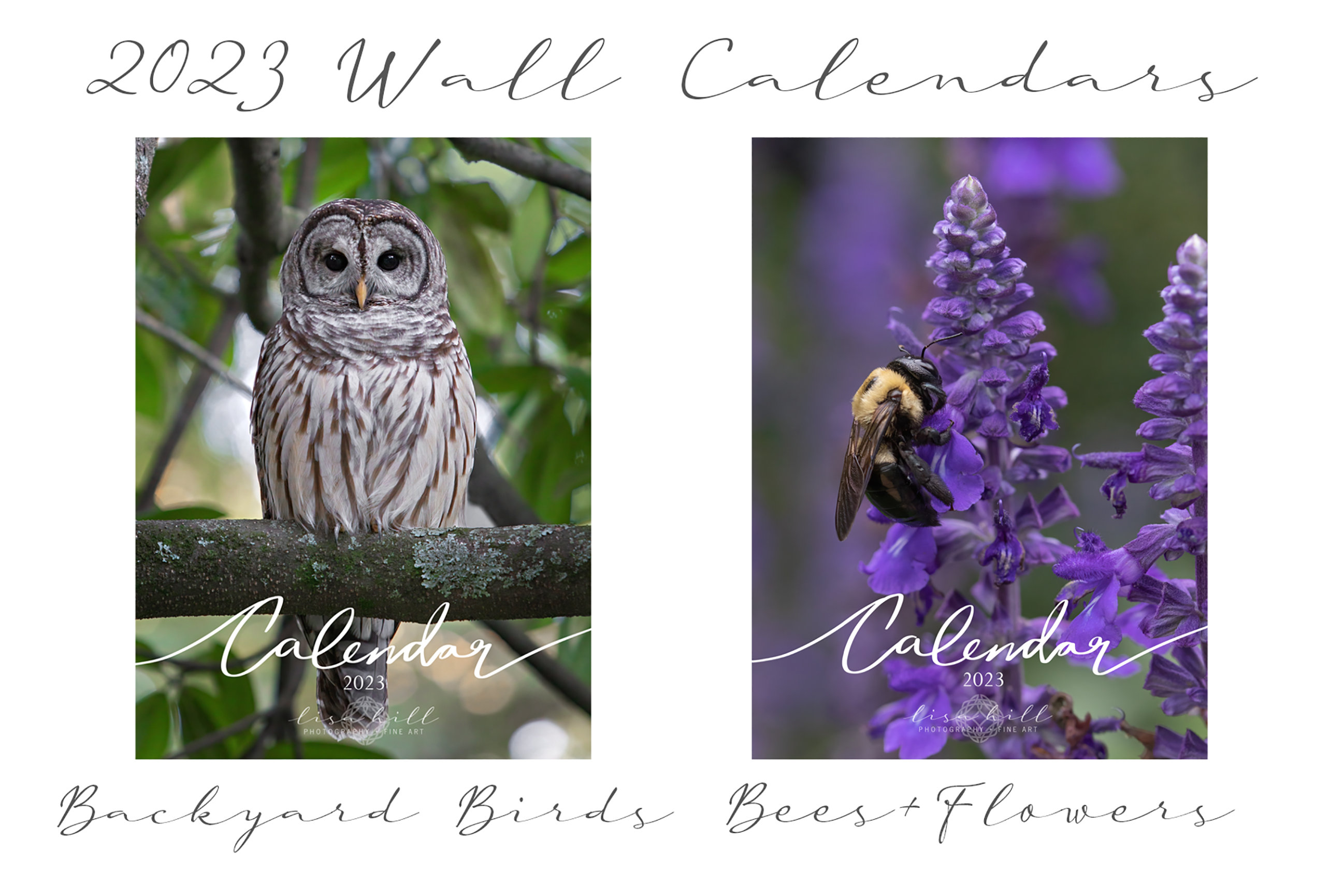 2023 Calendars Available Today! - Lisa Hill Photography