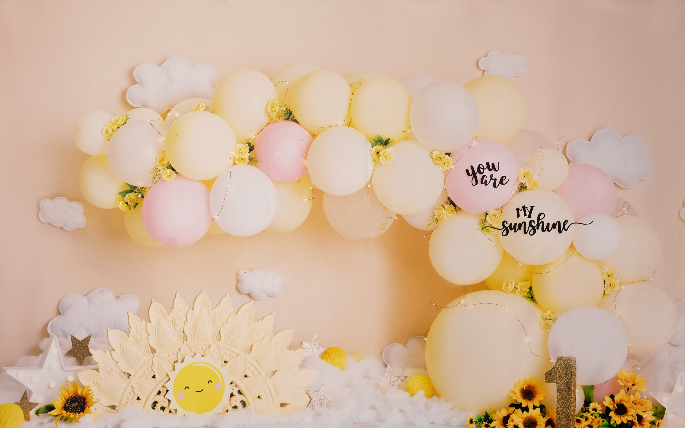 Brampton and Caledon Cake Smash Photographer - Signature Backdrops ...
