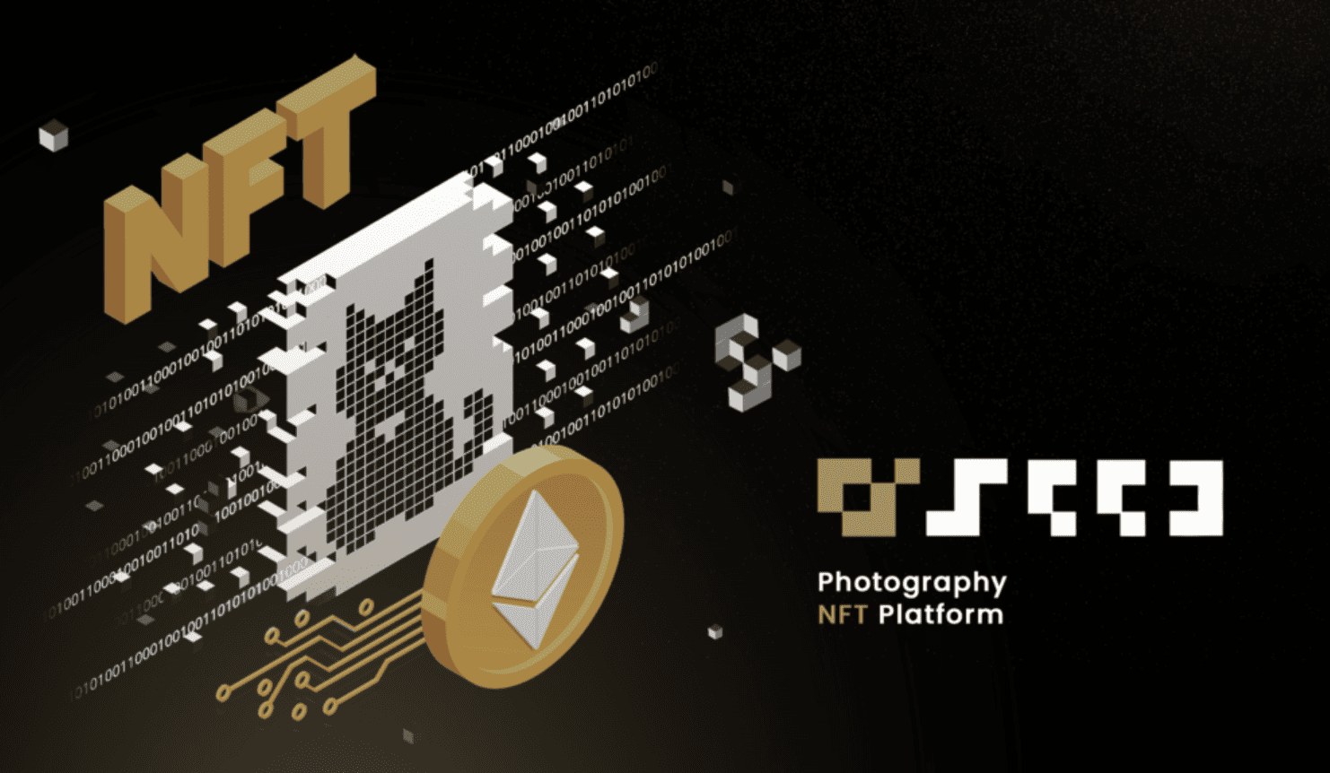 The correlation between photography and cryptocurrency - Jennifer ...