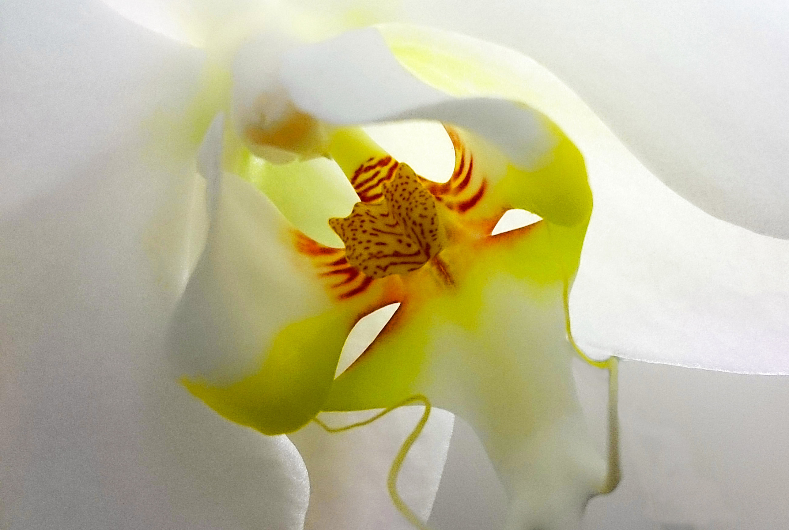 Artist- Eric Wiles Photography