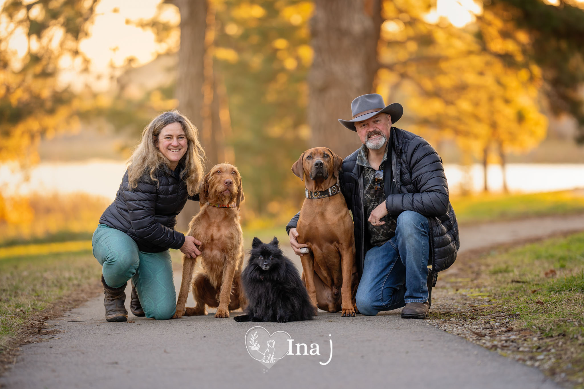 Why a Pet Photography Session is the Perfect Christmas Gift