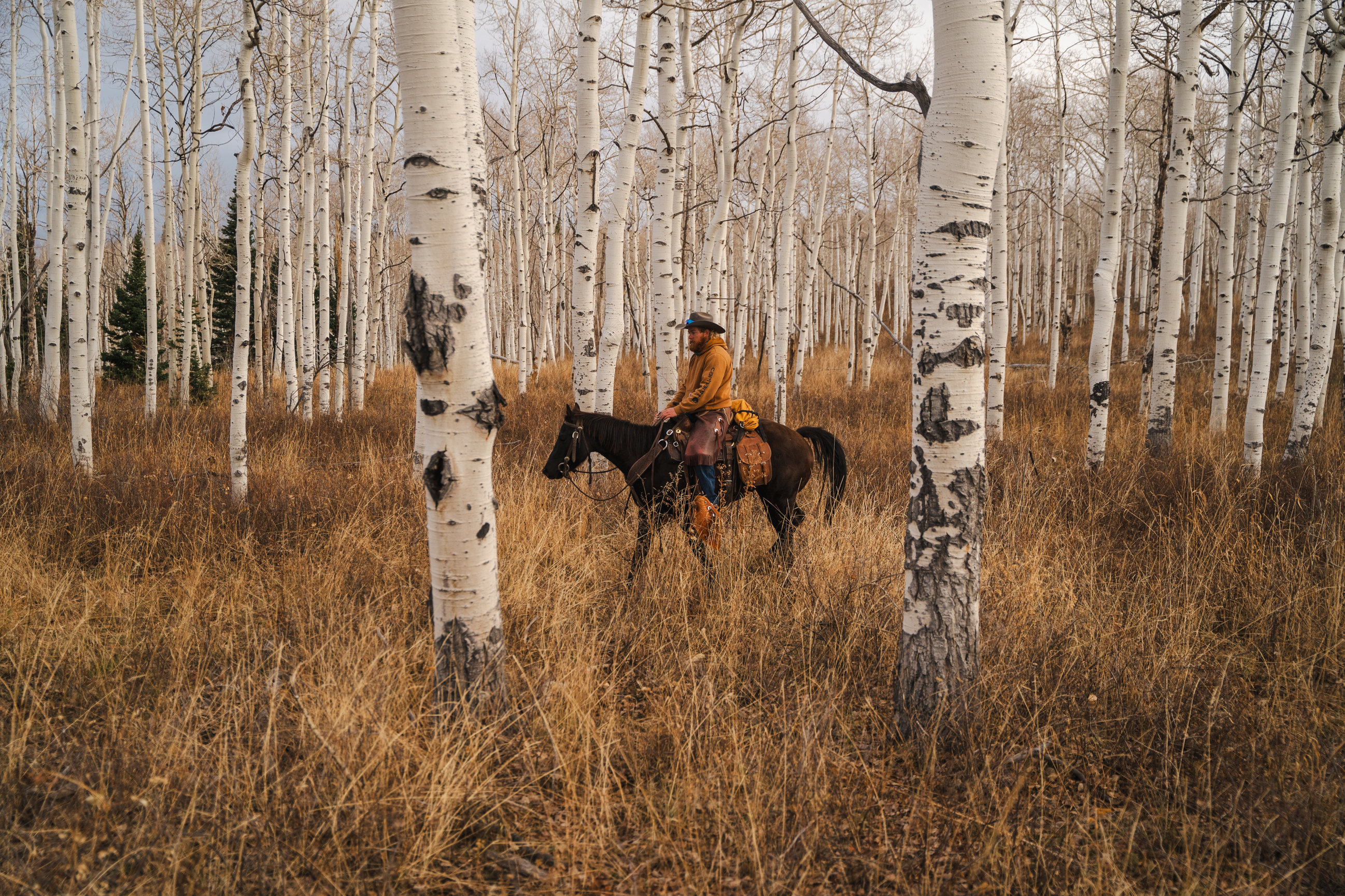 HOME - Taylor Dalton Photography