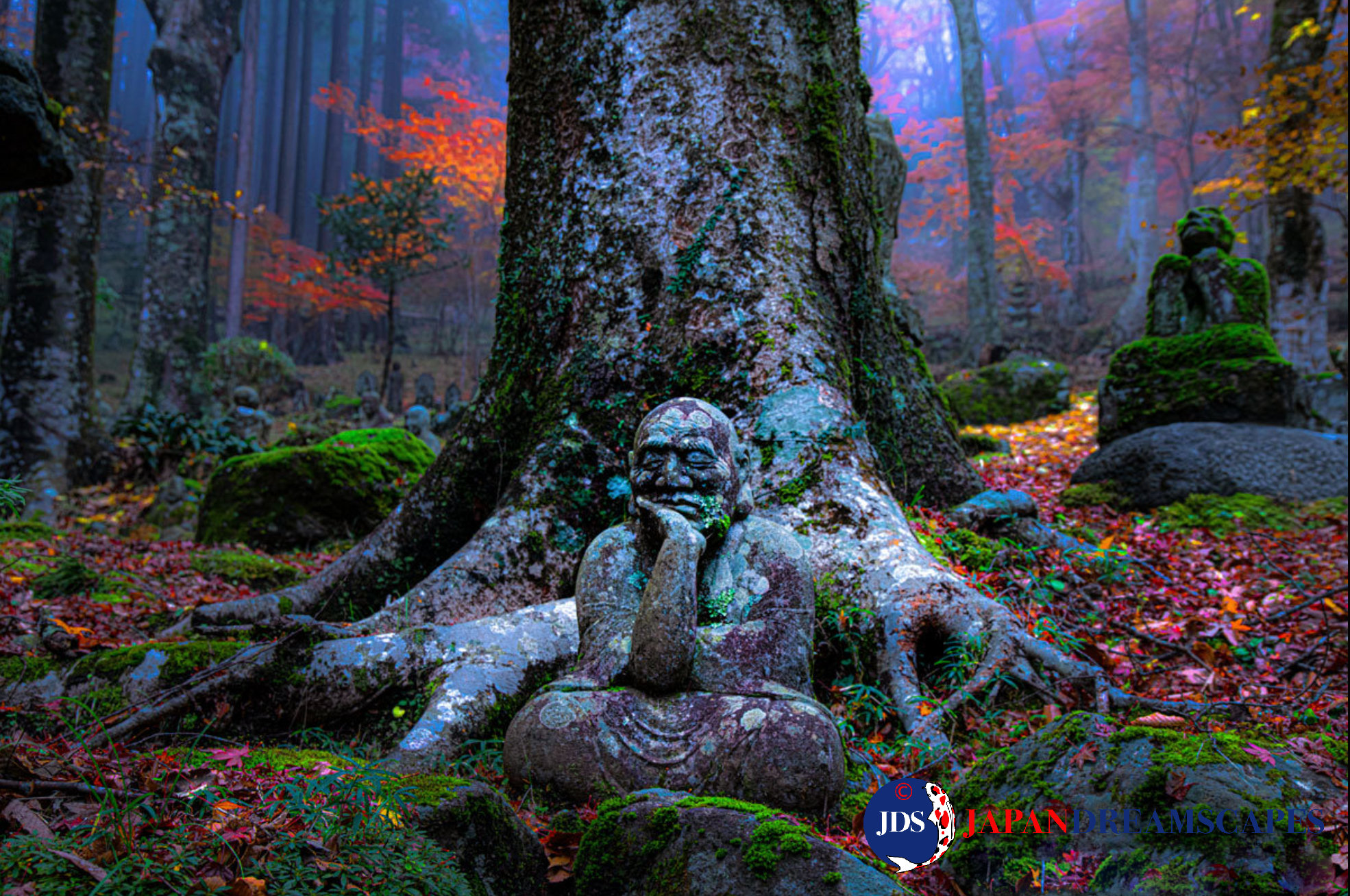 Exploring Zen and Escaping Tourist Pollution - Essence of Autumn Leaves ...