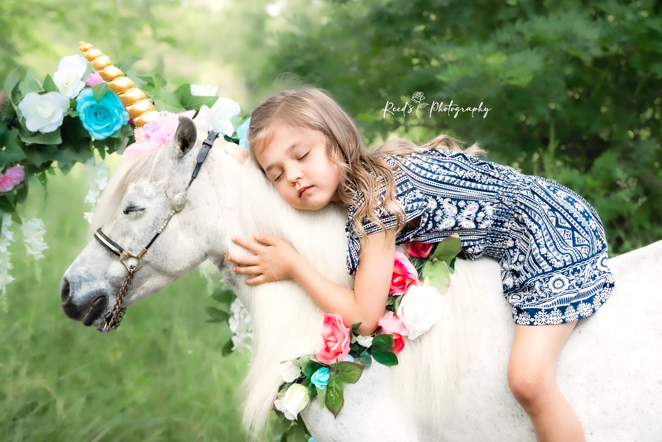 SEASONAL SESSIONS - Tisha Reed