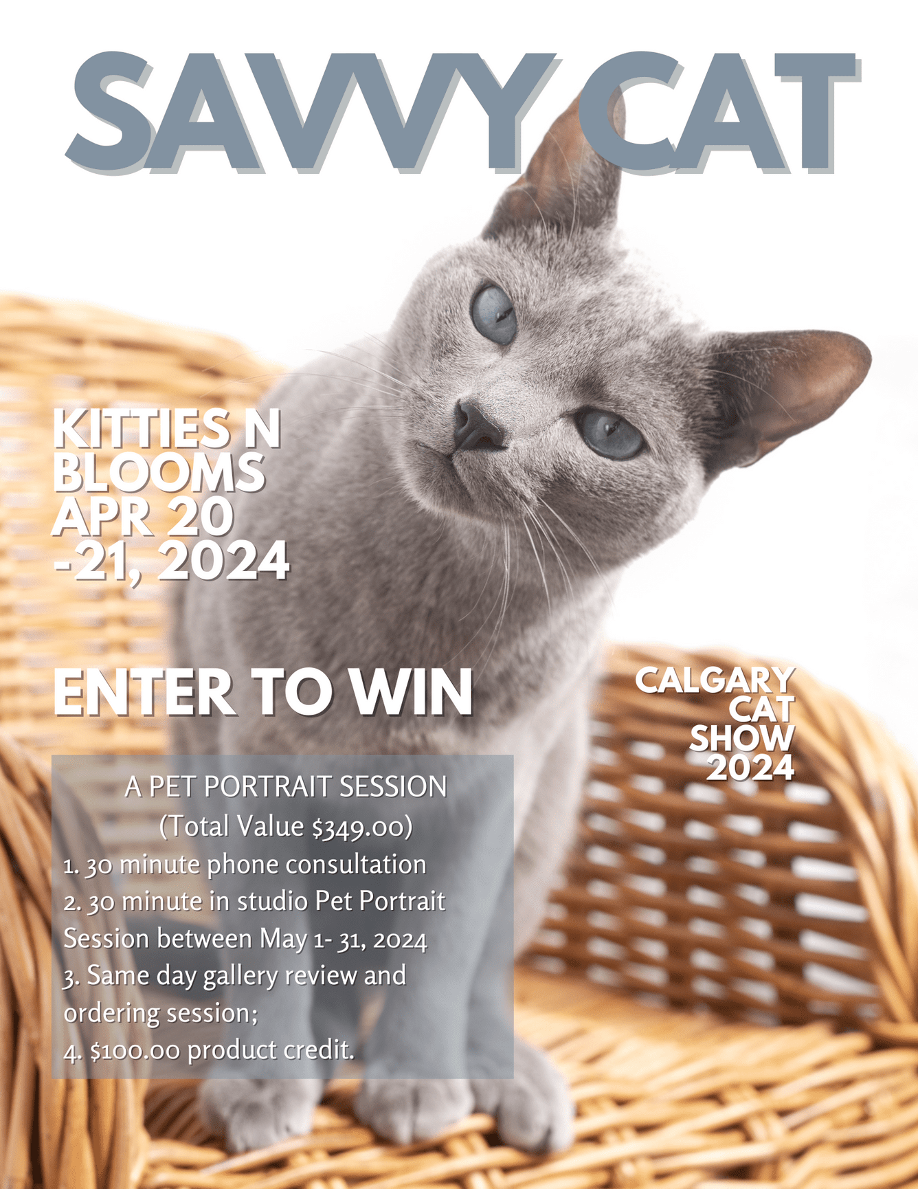 Calgary Cat Show Winner(s) - Savvy Cat Photography