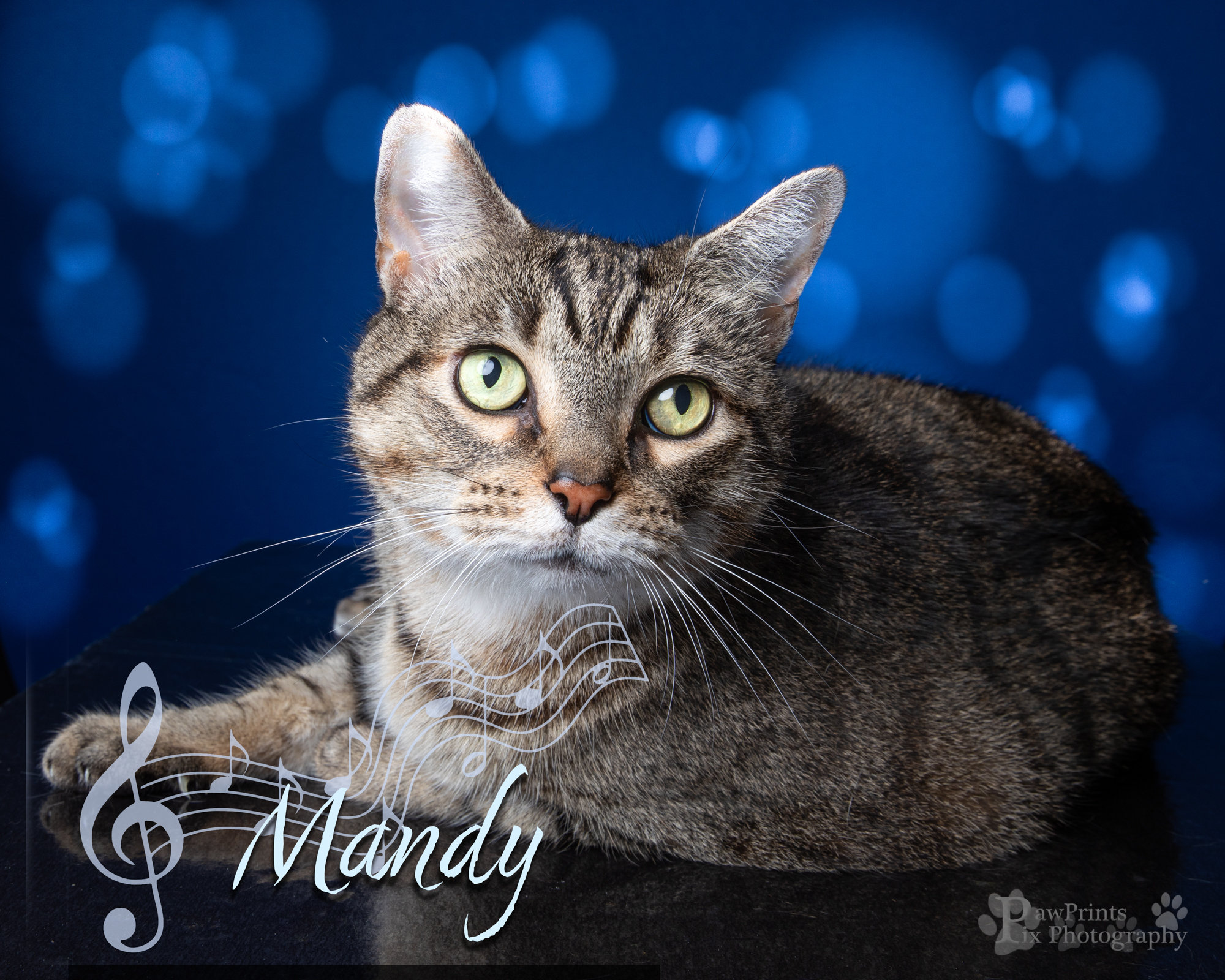 Oh Mandy.... & Fur babies from May 06, 2024 - PawprintsPixPhotography
