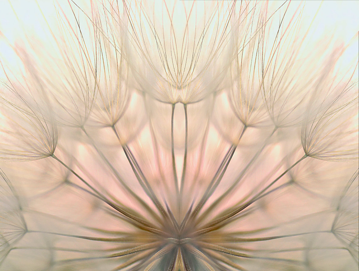 The Greatest Artist of All Time - Mike Moats - Award Winning Macro ...